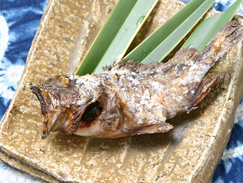 kasago-shio | 房総爆釣通信